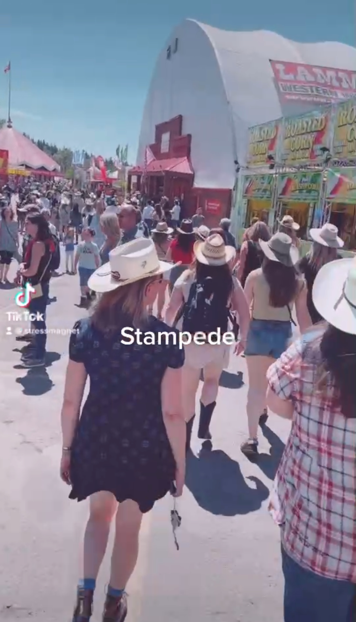 Stampede Shenanigans: How to Survive the Calgary Stampede Without ...